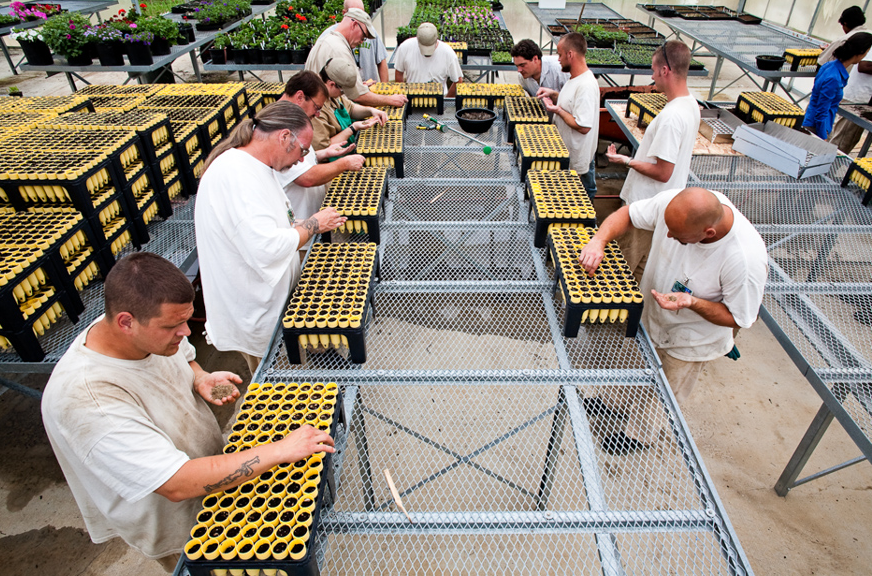Sustainable Prisons Project – Lilli Green