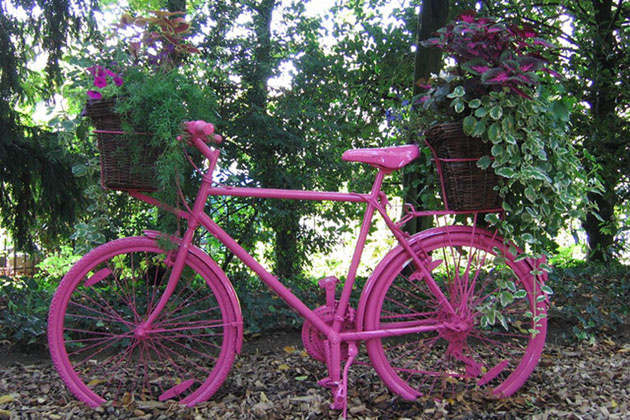 Velo Love – Lilli Green