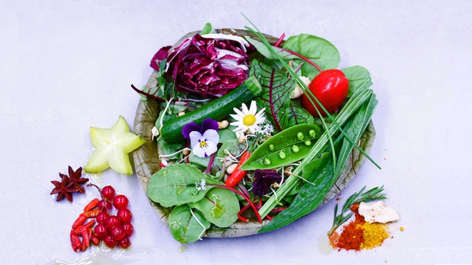 Leaf Republic – Einweg-Verpackungen aus Laubblättern – Lilli Green