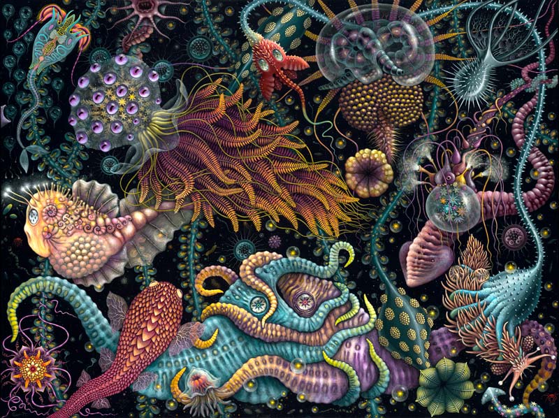 Robert S. Connett: die Unterwelten aus den Tiefen des Ozeans– Lilli Green