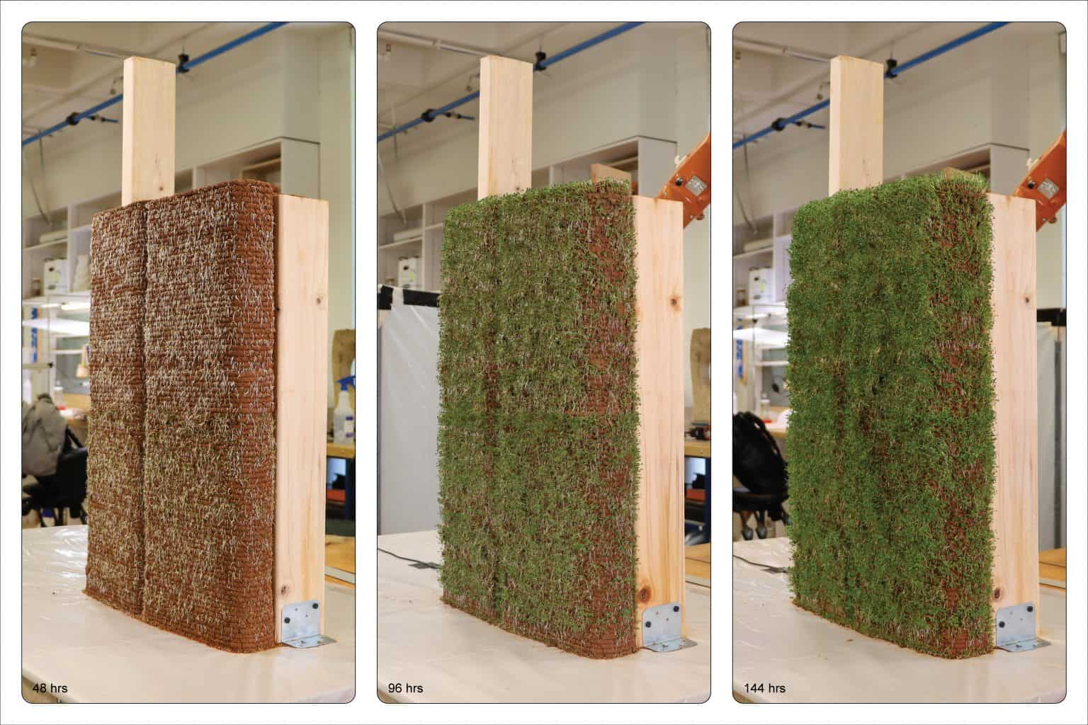 Lebendige Lehmwände aus dem 3D-Drucker – Lilli Green