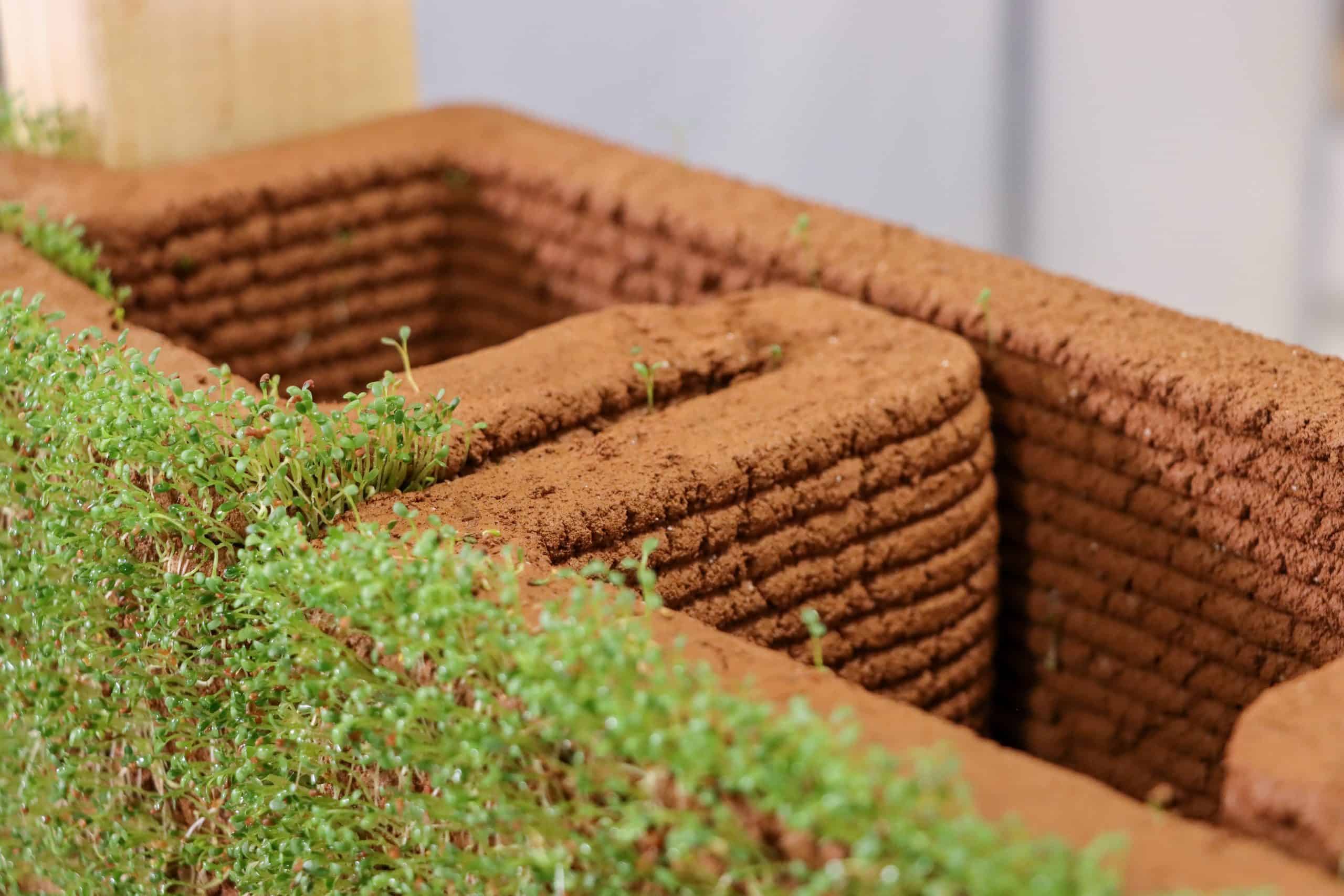 Lebendige Lehmwände aus dem 3D-Drucker – Lilli Green