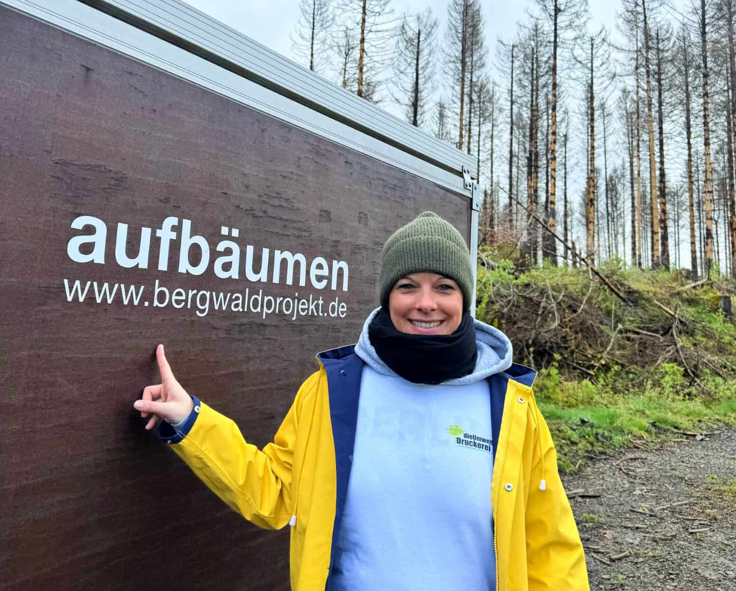 Waldsterben im Harz - So wird gegen die Klimakrise aufgebäumt – Lilli Green