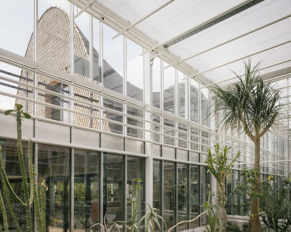 Green Ark – eine grüne Arche für den Erhalt der Biodiversität – Lilli Green