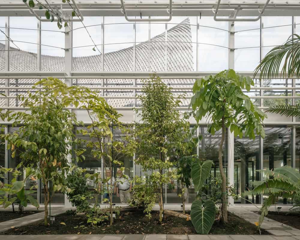 Green Ark – eine grüne Arche für den Erhalt der Biodiversität – Lilli Green